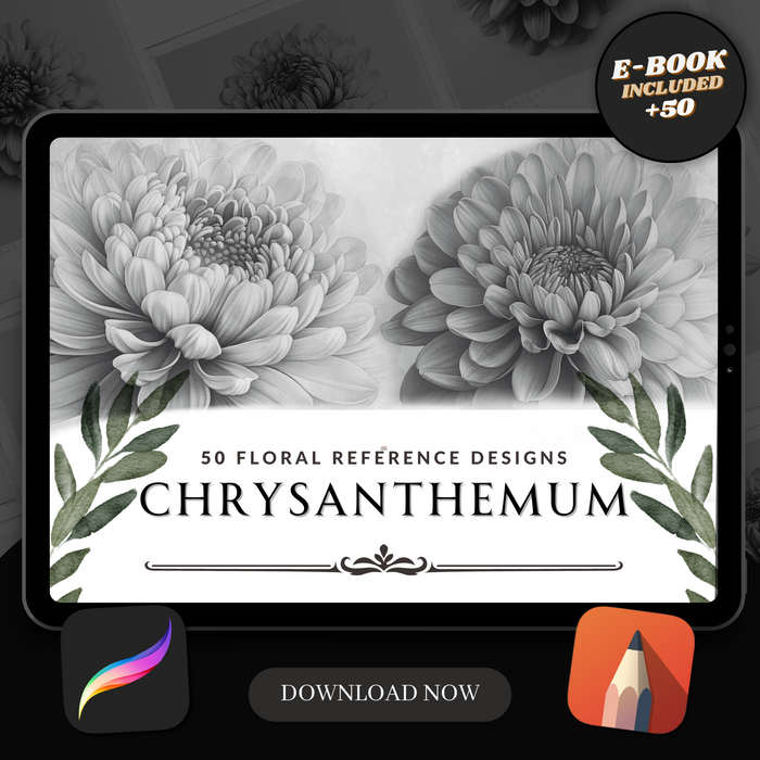Chrysanthemums Digital Design Collection: 50 Procreate & Sketchbook Im
