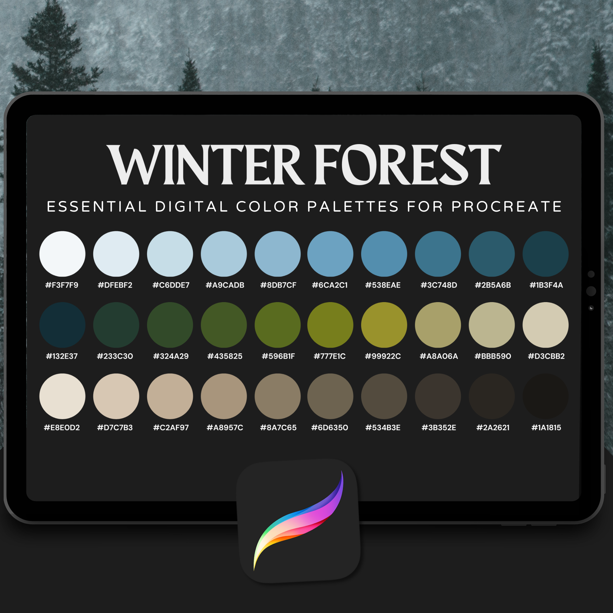 Winter Forest Color Palette for Procreate – Frosted Woodland Tones + H