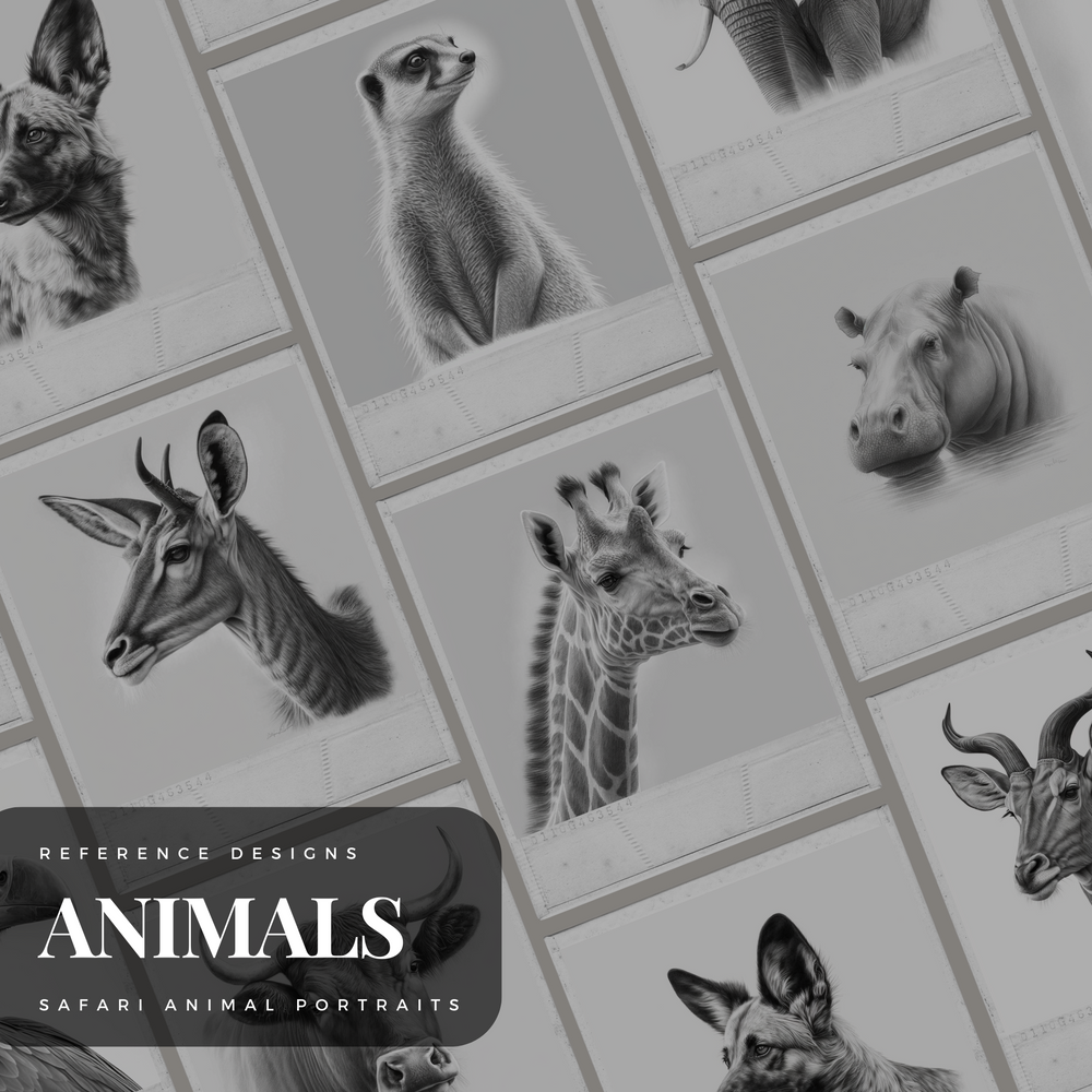 Safari Animals Digital Reference Design Collection: 100 Procreate & Sk