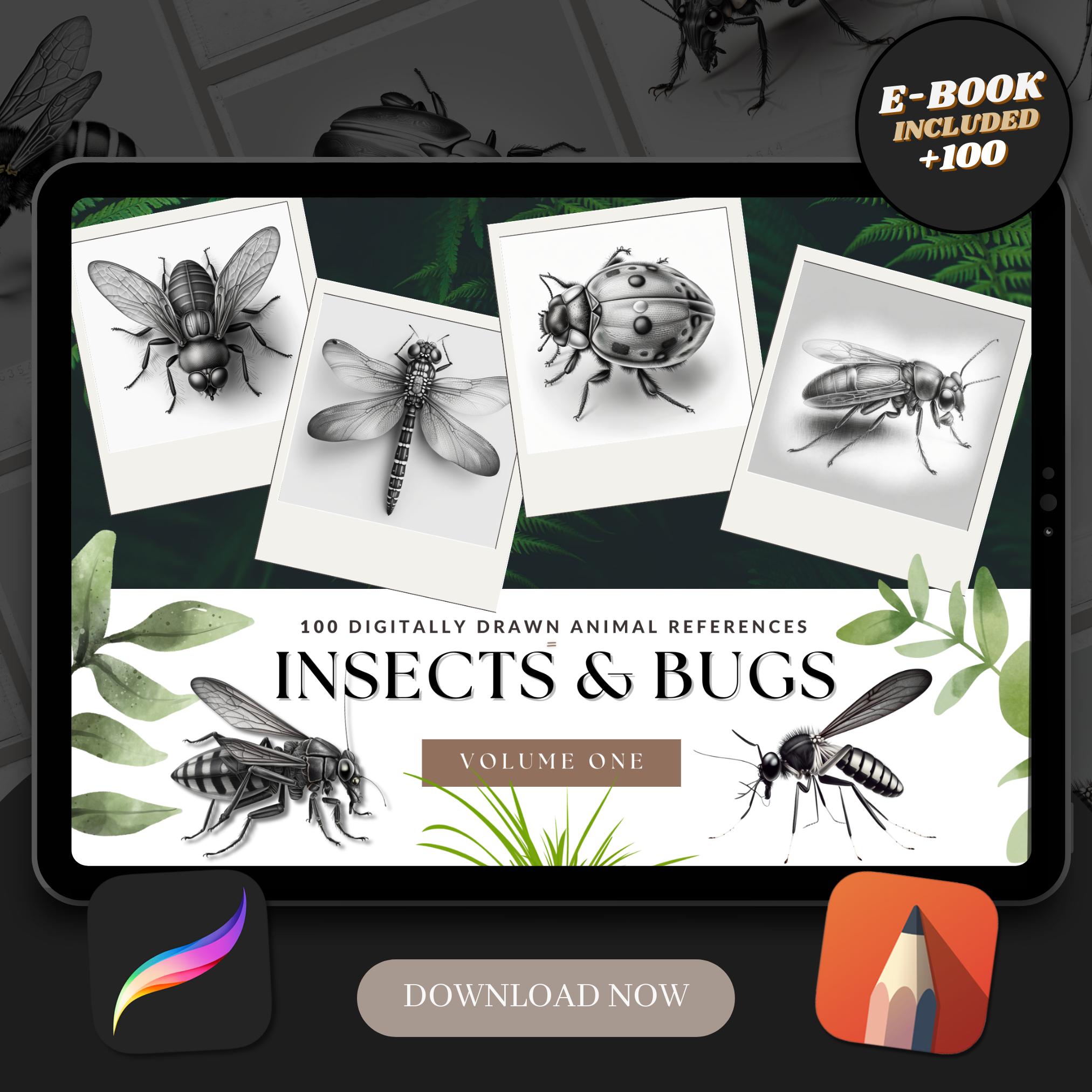 Insects & Bugs Tattoo Reference Pack